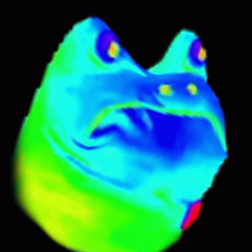 Frog GIF - Frog - Discover & Share GIFs