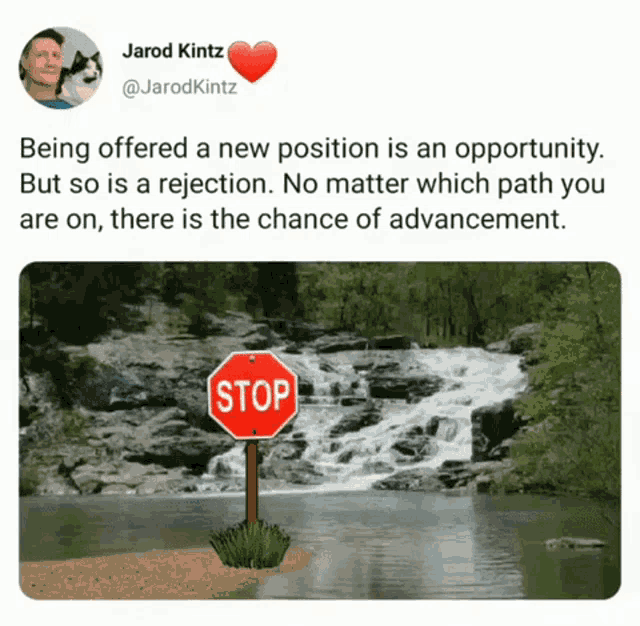 Opportunity Wise GIF - Opportunity Wise Life - Discover & Share GIFs Opportunity Wise GIF - Opportunity Wise Life - Discover & Share GIFs
