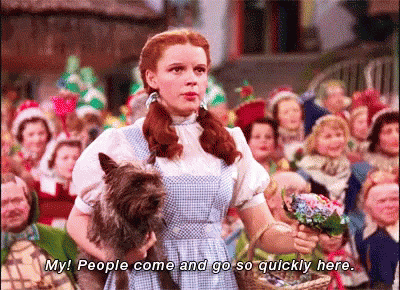 Wizard Of GIF - Wizard Of Oz - Discover & Share GIFs