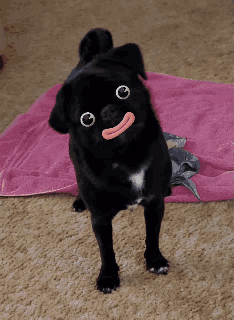 Blink Blinking Blink Blinking Eyes Откриване и споделяне на файлове