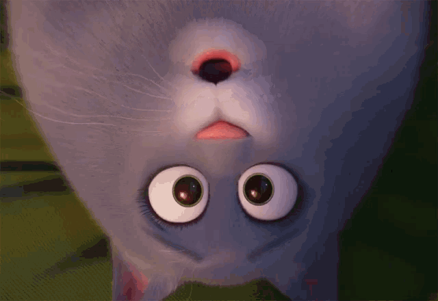 Meow Wow Meow Wow Mouth Open Discover And Share S