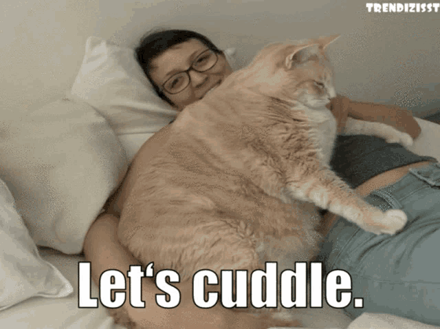Cuddle Cat Meme