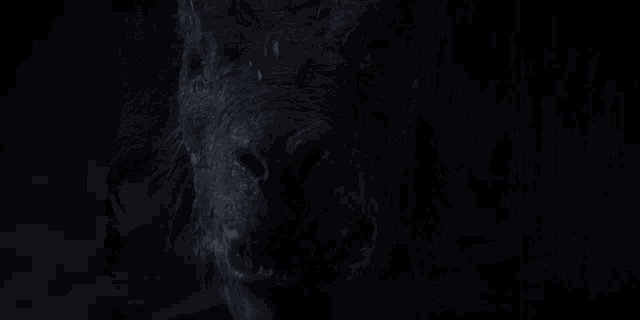 Hbo Vhagar Hbo Vhagar House Of The Dragon Discover And Share S