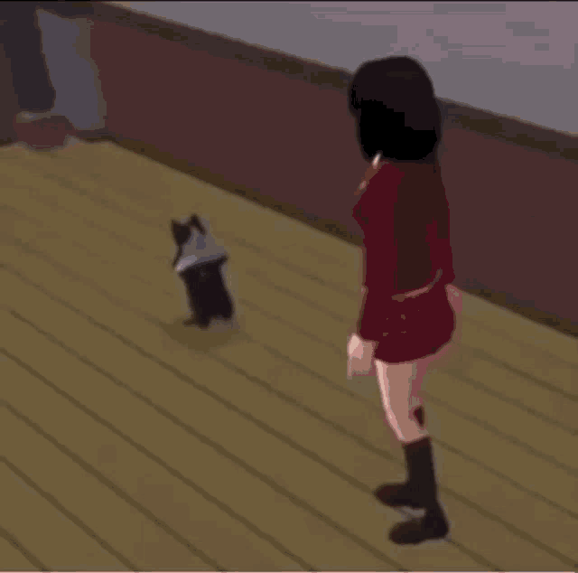 Cat Bruh Cat Bruh Cute Cat Discover And Share S