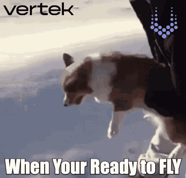 Vertek Defi Vertek Vertek Defi Vertek Vertek Balancer Discover